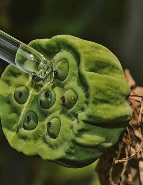 HOME - Formulator Hub